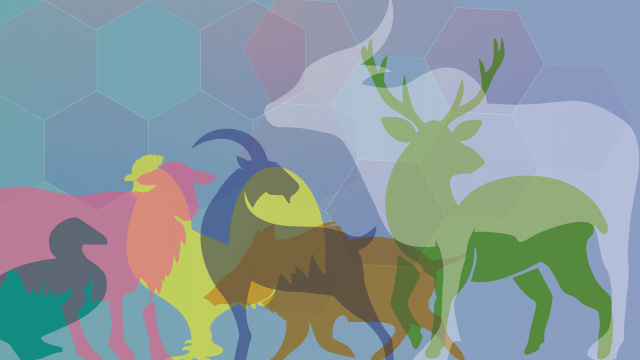 Home | FAO Members Gateway | Food and Agriculture Organization of the ...