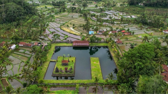 Home | FAO Members Gateway | Food and Agriculture Organization of the ...
