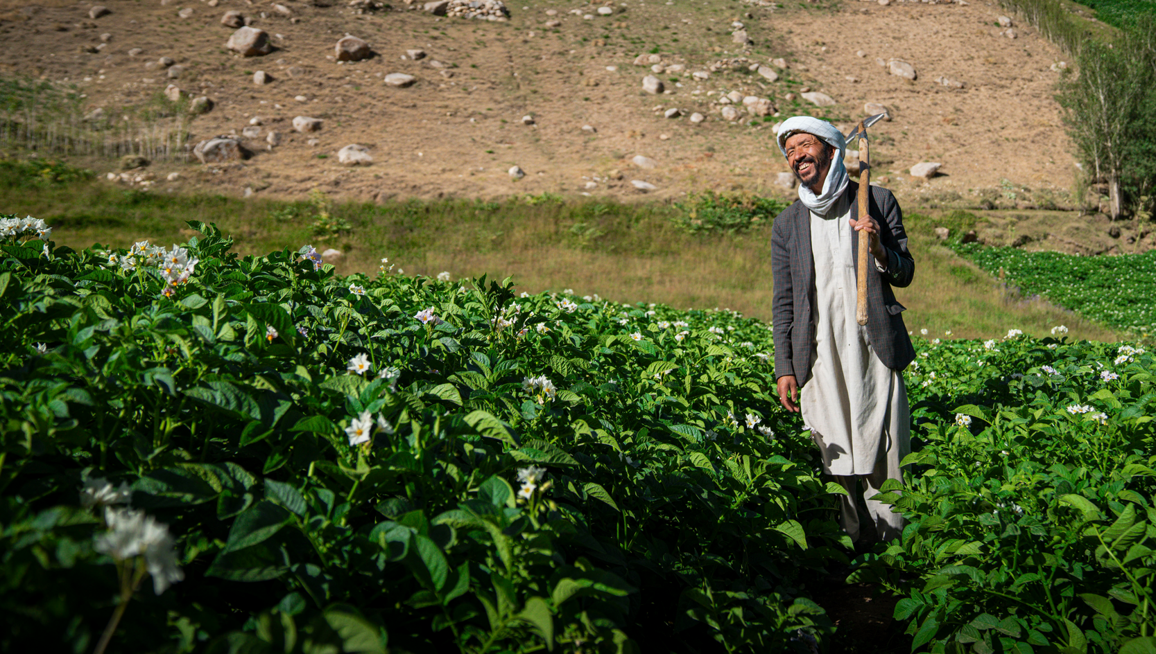 Home | FAO Members Gateway | Food and Agriculture Organization of the ...