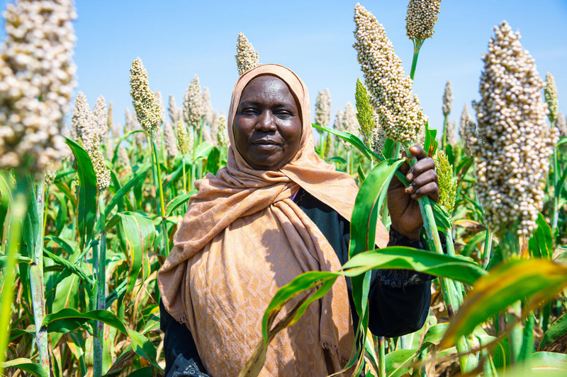 Home | FAO Members Gateway | Food and Agriculture Organization of the ...