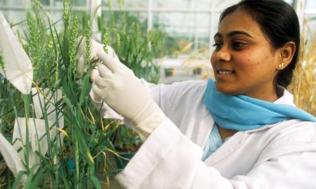 Science and technology offers great opportunities for rural women’s ...