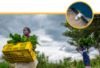 GEOGLAM Capacity development program | Geospatial information for ...