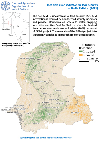 Rice field as an indicator for food security in Sindh, Pakistan (2021 ...