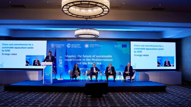 General Fisheries Commission for the Mediterranean - GFCM | Food and ...