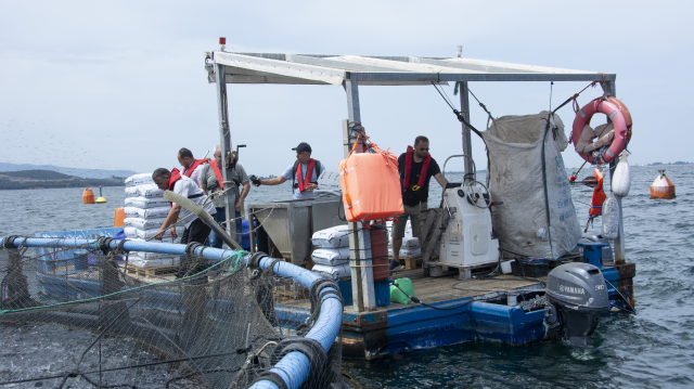 General Fisheries Commission for the Mediterranean - GFCM | Food and ...