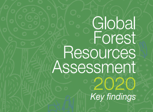 Global Forest Observations Initiative: News detail