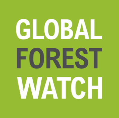 Global Forest Observations Initiative: Events detail
