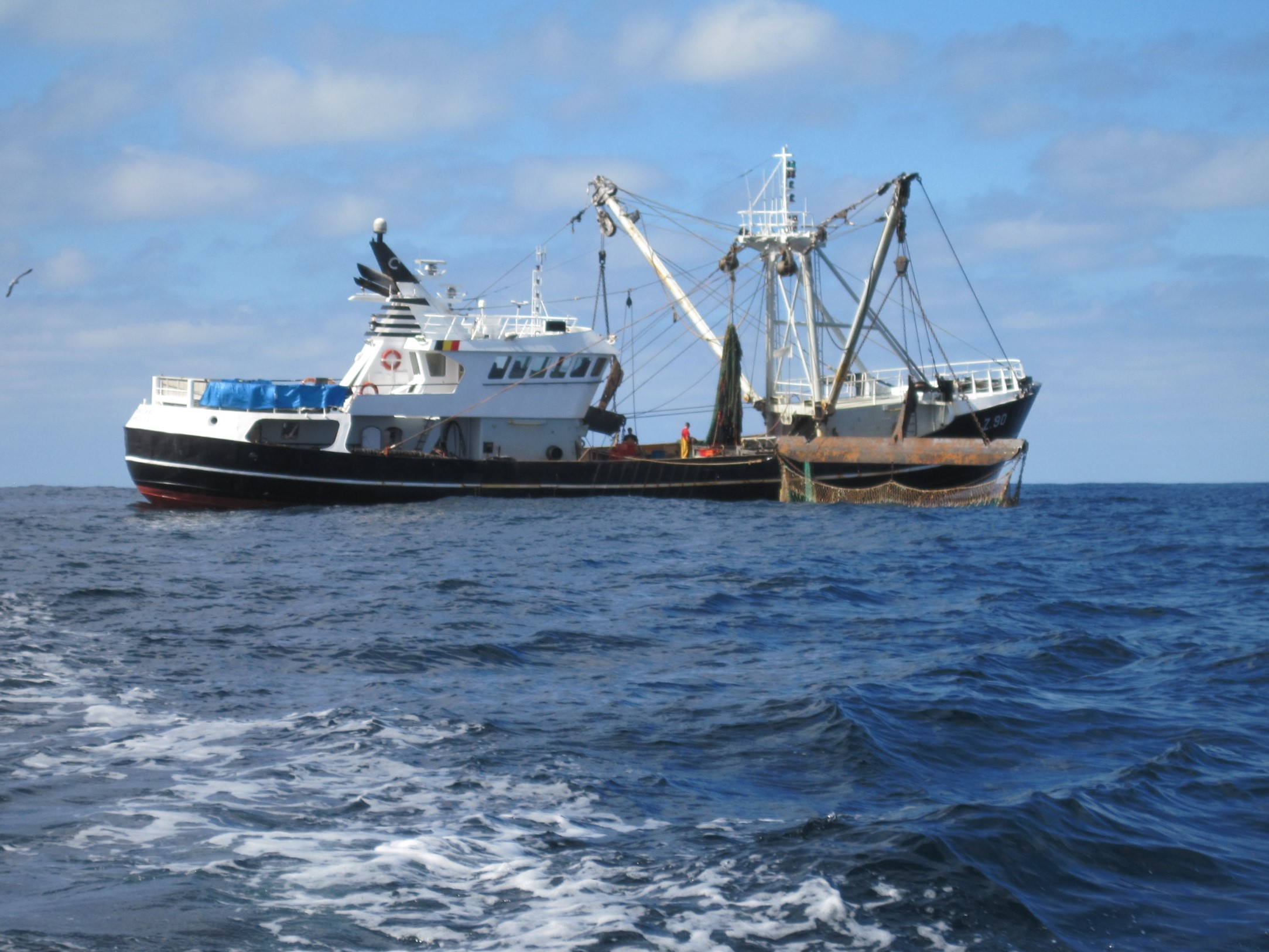 Technical Consultation proposes recommendations for Global Record ...