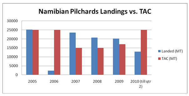 Small Pelagics - Namibia - October 2010
