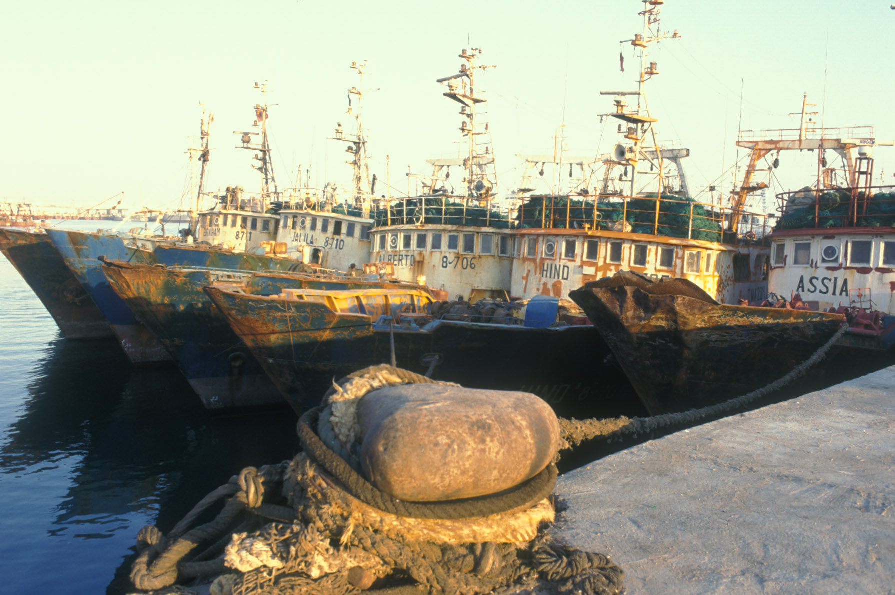 Geneva Fisheries Trade Talks: illegal, unreported and unregulated (IUU ...