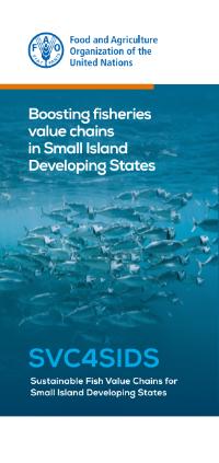 SVC4SIDS - Boosting fisheries value chains in Small Island Developing ...