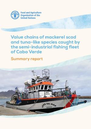 Value chains of mackerel scad and tuna-like species caught by the semi ...