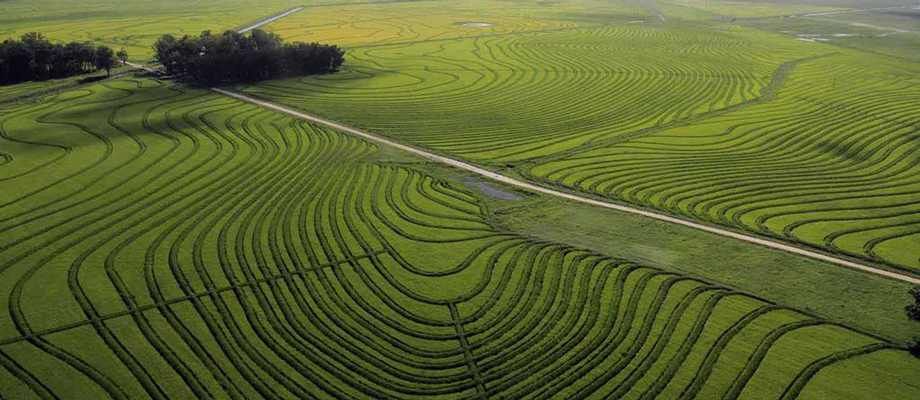 The 5th Global Science Conference on Climate-Smart Agriculture 2019 ...