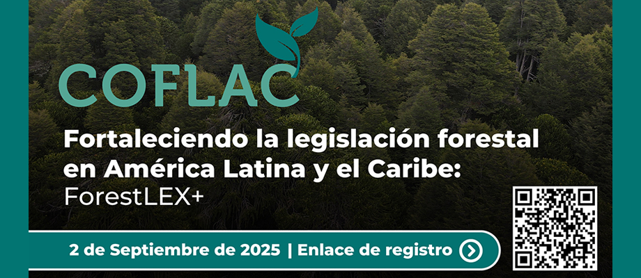 LEGN holds a side event on its new ForestLEX+ programme at the Regional ...