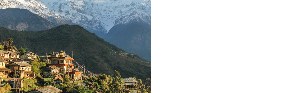 Mountain Partnership: Home