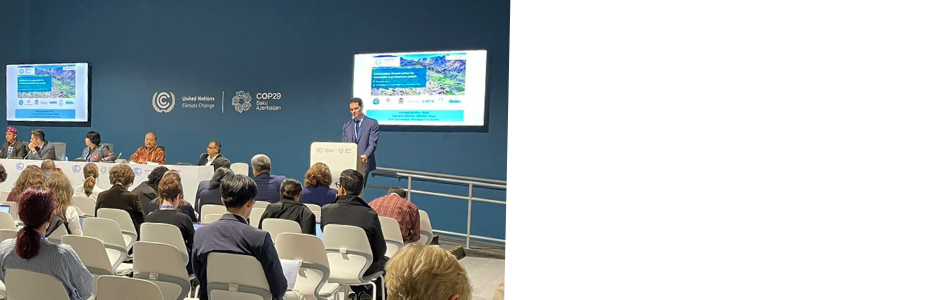 Mountain Partnership: Home