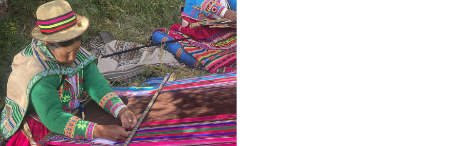 Mountain Partnership: Home