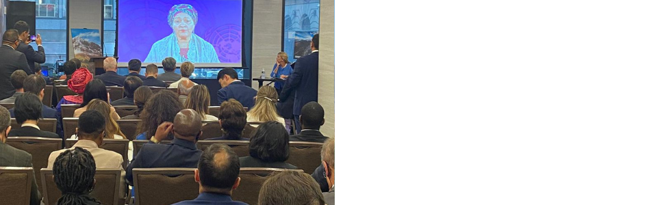 Mountain Partnership: Home