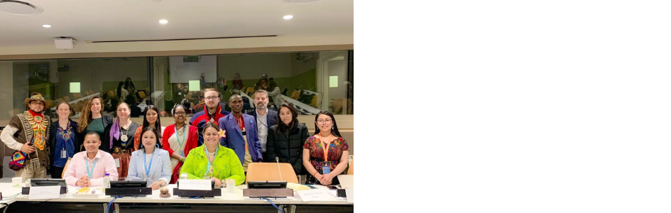 Mountain Partnership: Home