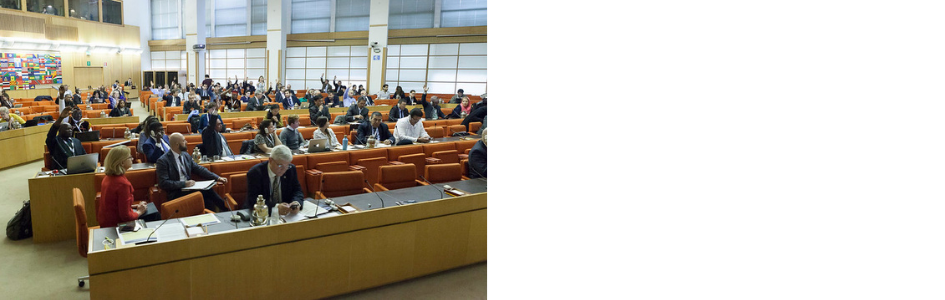 Mountain Partnership: Home