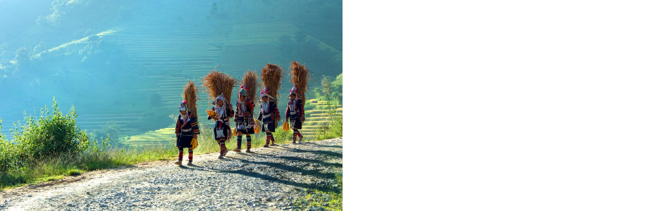 Mountain Partnership: Home