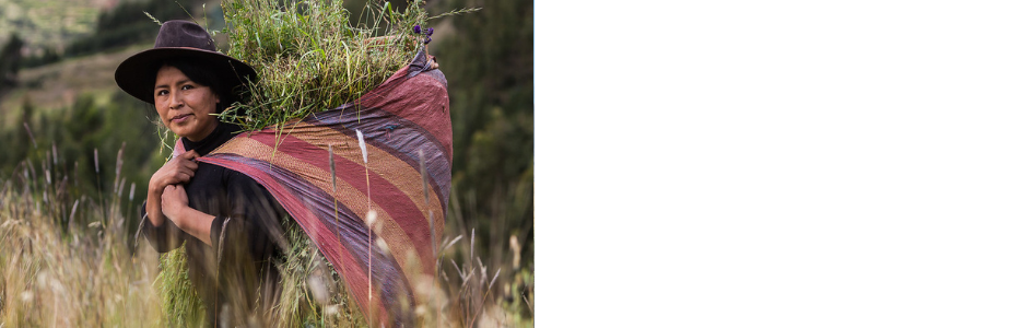 Mountain Partnership: Home