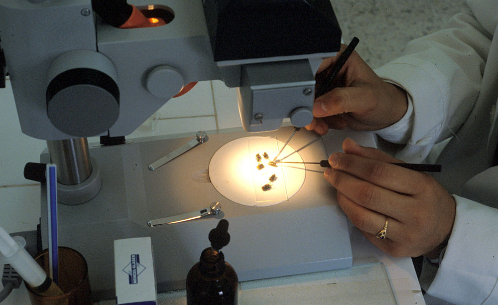 Equipment Used In Parasitology Laboratory at Angus Daplyn blog
