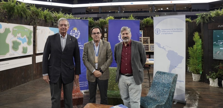 Pest and Pesticide Management | Food and Agriculture Organization of ...