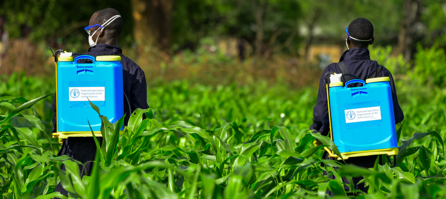 Pest and Pesticide Management | Food and Agriculture Organization of ...