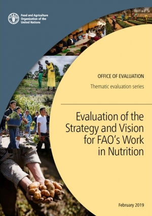 Evaluation of the Strategy and Vision for FAO’s Work in Nutrition ...