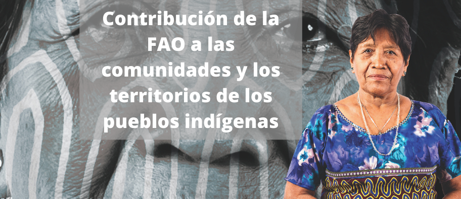 Peuples Autochtones | Organisation des Nations Unies pour l ...