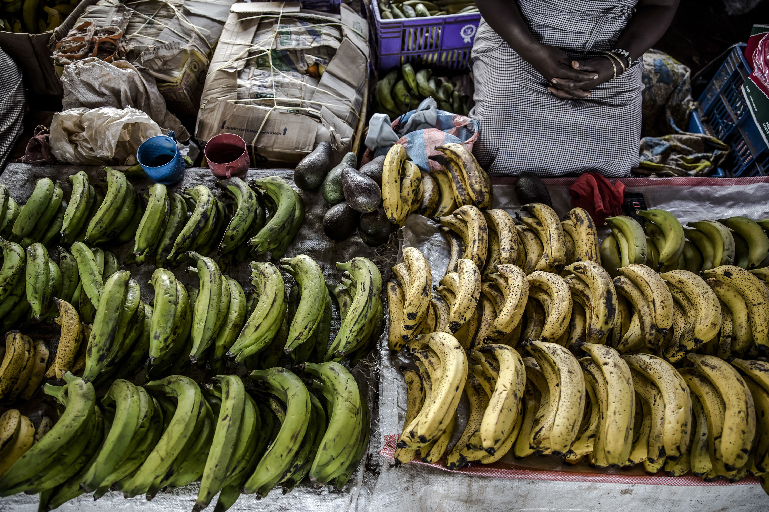 Civil Society | Food and Agriculture Organization of the United Nations