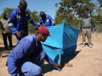 FAO - news article: South-South and Triangular Cooperation approaches ...