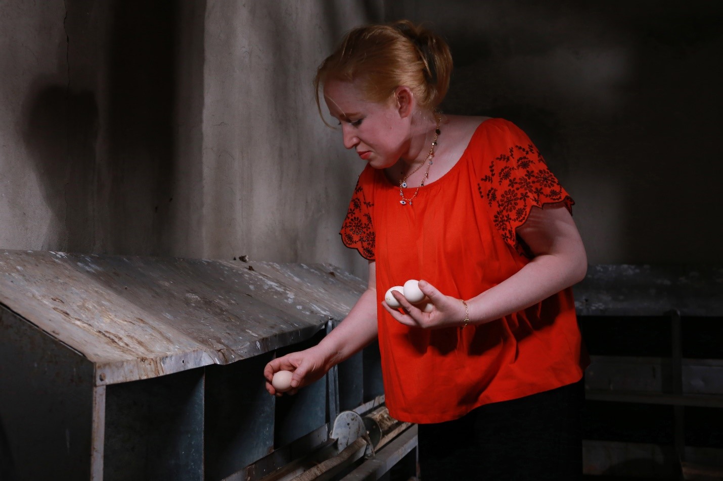 Gateway to poultry production and products | Food and Agriculture ...