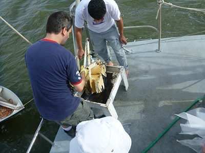 Bycatch Reduction Devices in Rio Grande do Sul, Brazil | FAO