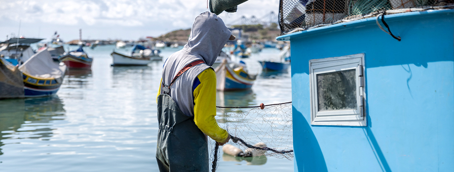 Responsible Fishing Practices for Sustainable Fisheries | Food and ...