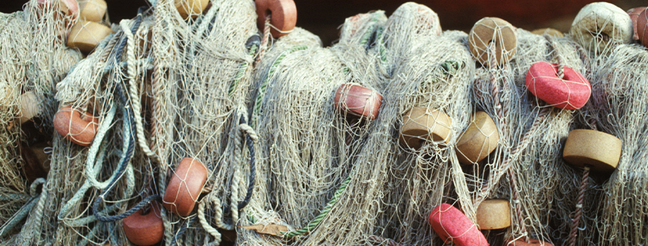 Responsible Fishing Practices for Sustainable Fisheries | Food and ...