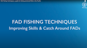 FAD Fishing Techniques, a guide for fishing anchored FADs in the ...