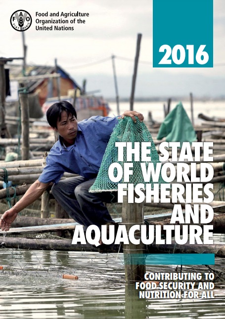 The State of World Fisheries and Aquaculture 2016 | Responsible Fishing ...