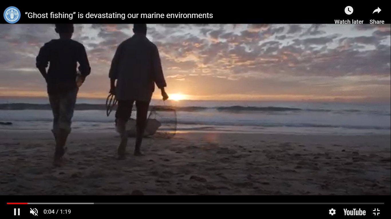 Video: “Ghost fishing” is devastating our marine environments ...