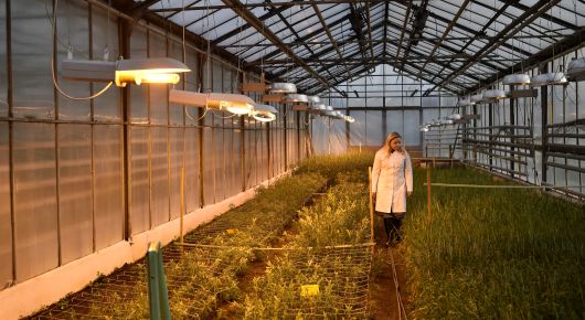 FAO Regional Office for Europe and Central Asia | Food and Agriculture ...