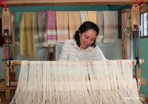Global survey to evaluate women's contributions in the cotton value ...