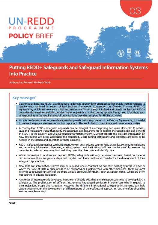 FAO - SFM Tool Detail: Putting REDD+ safeguards and safeguard ...