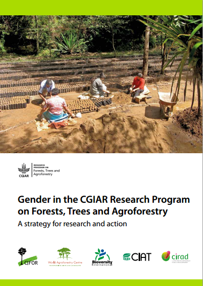 FAO - SFM Tool Detail: Gender in the CGIAR research program on forests ...