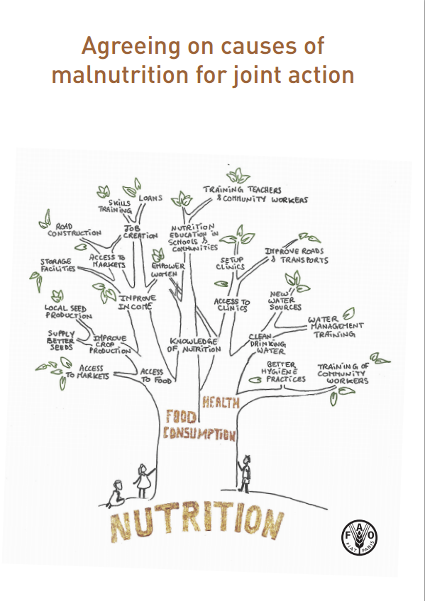 FAO - SFM Tool Detail: Agreeing on causes of malnutrition for joint action