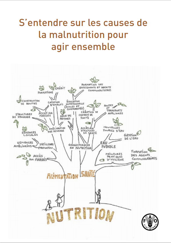FAO - SFM Outils de détails: S'entendre sur les causes de la ...