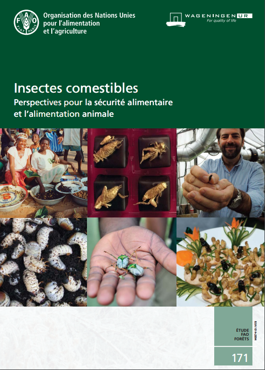 FAO - SFM Outils de détails: Insectes comestibles - Perspectives pour ...