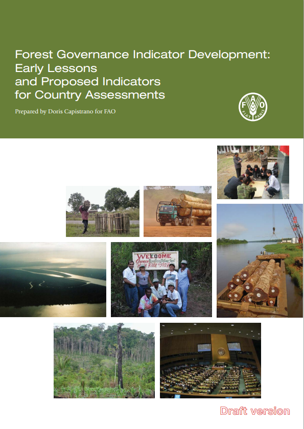 FAO - SFM Tool Detail: Forest governance indicator development: early ...
