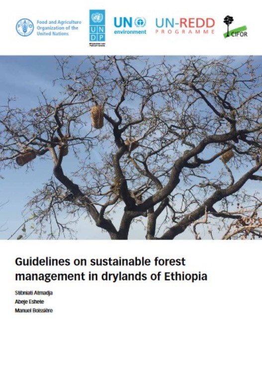 FAO - SFM Tool Detail: Guidelines on sustainable forest management in ...