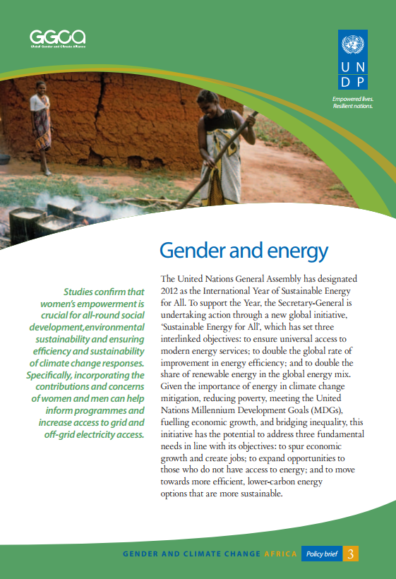 FAO - SFM Tool Detail: Gender and energy